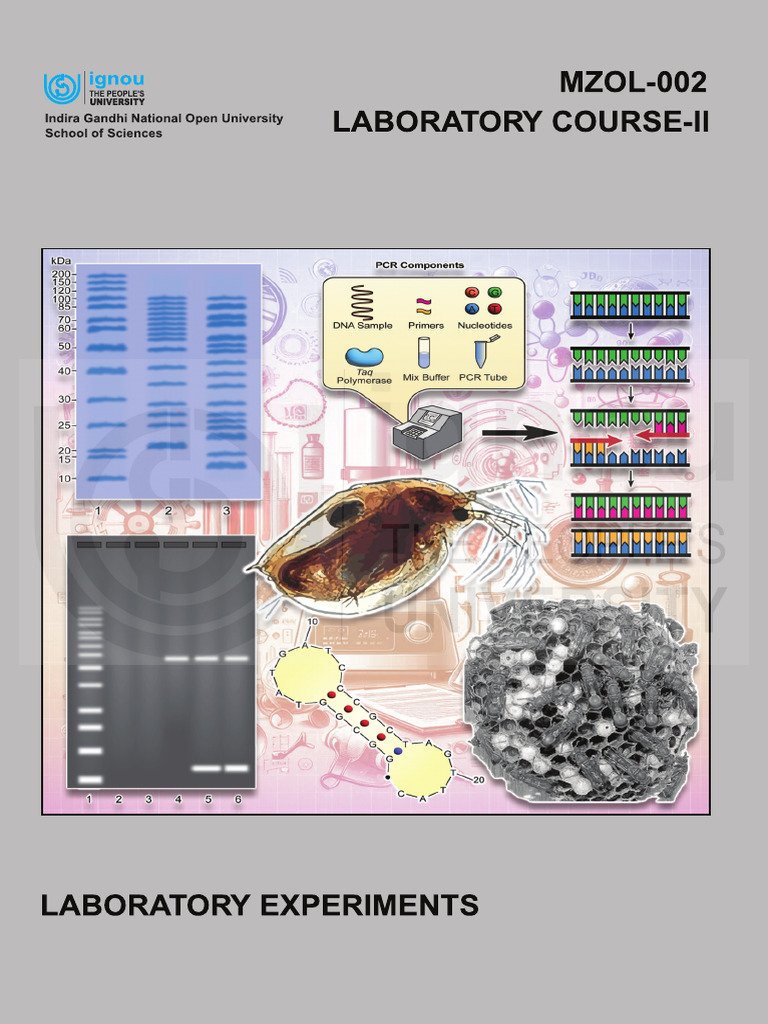 Designing PCR Primers for Experiments | PDF | Polymerase Chain Reaction ...