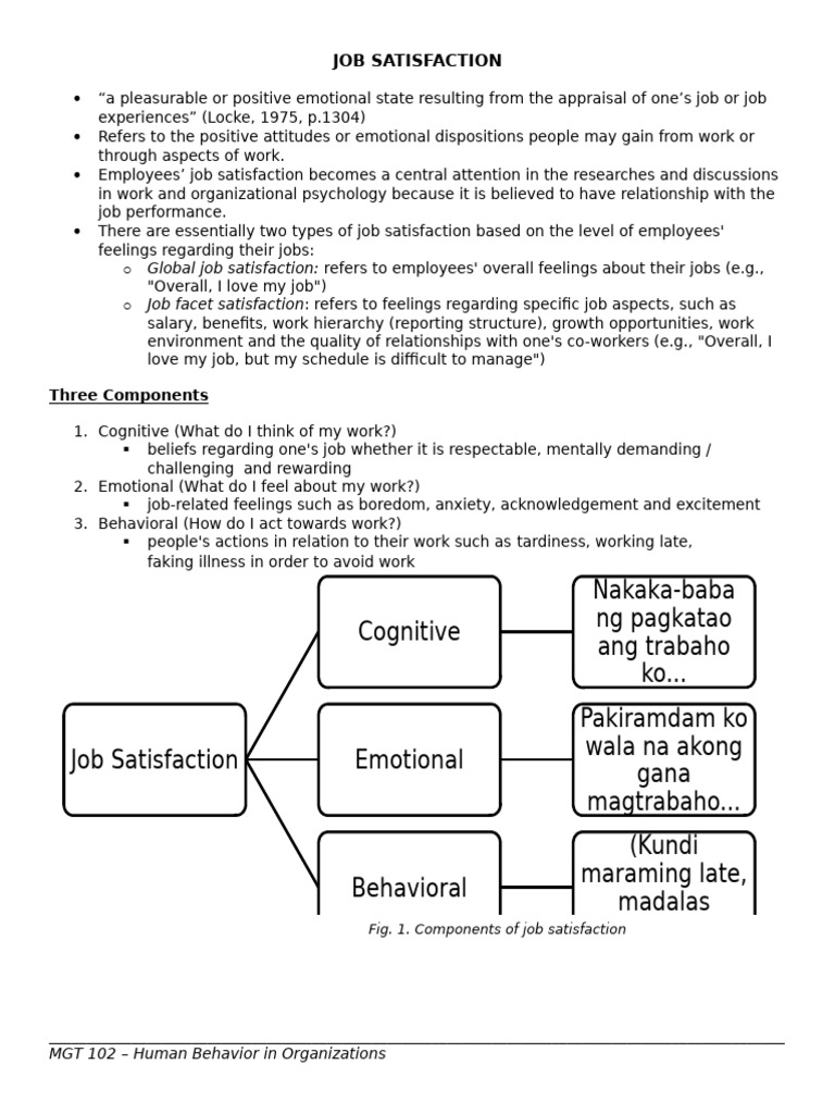 Understanding Job Satisfaction Factors | PDF | Job Satisfaction | Cognition