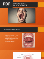 Anatomía del Istmo de las Fauces | PDF | Sistema musculoesquelético ...