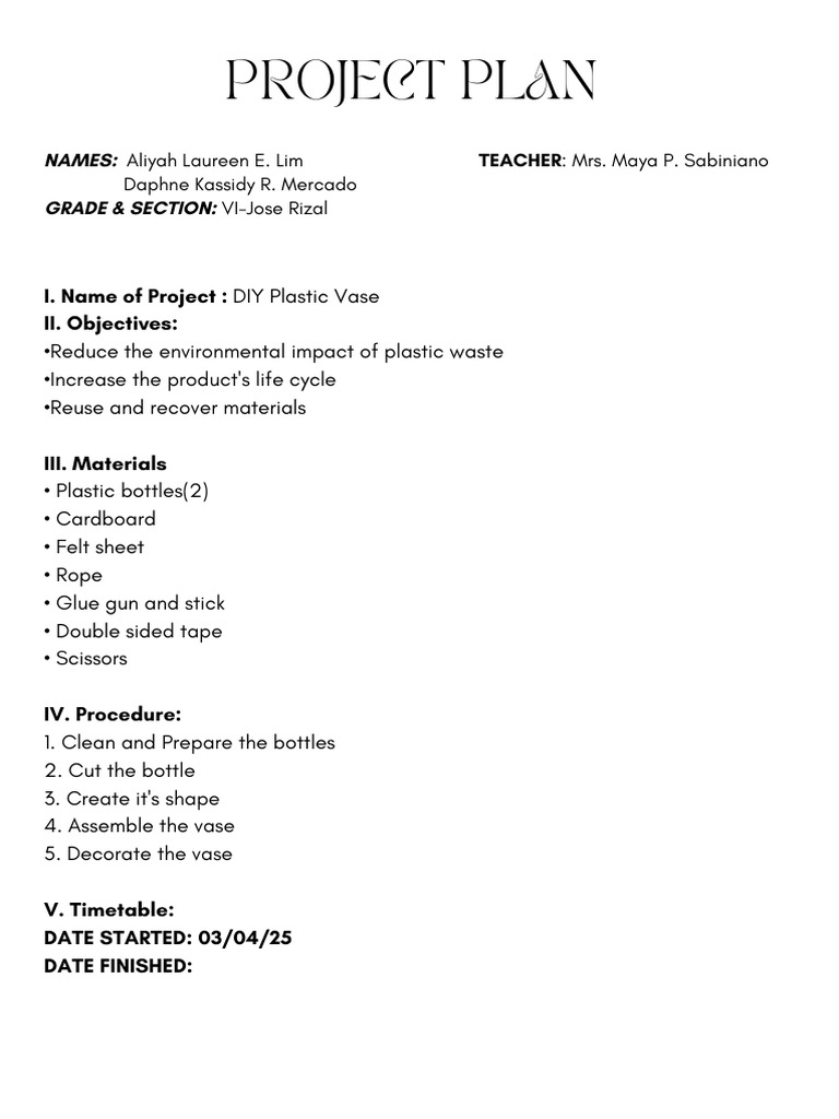 Project Plan | PDF