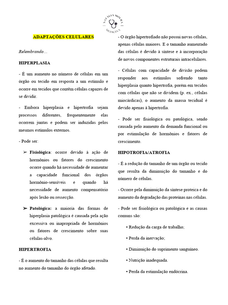 Patologia Mt1 p4 2 | PDF