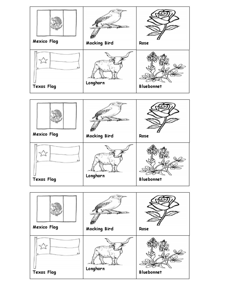 Symbols of Mexico and Texas Flags | PDF