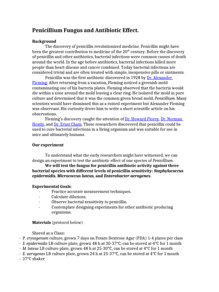 Penicillium Fungus Antibiotic Experiment | PDF | Penicillin | Organisms