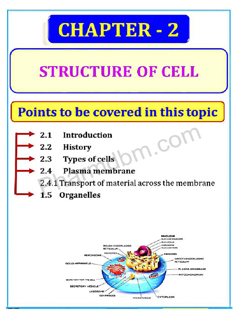 Human Anatomy and Physiology Chapter 2 | PDF