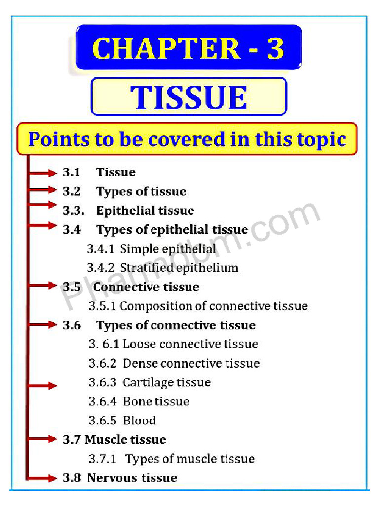 Human Anatomy and Physiology Chapter 3 | PDF