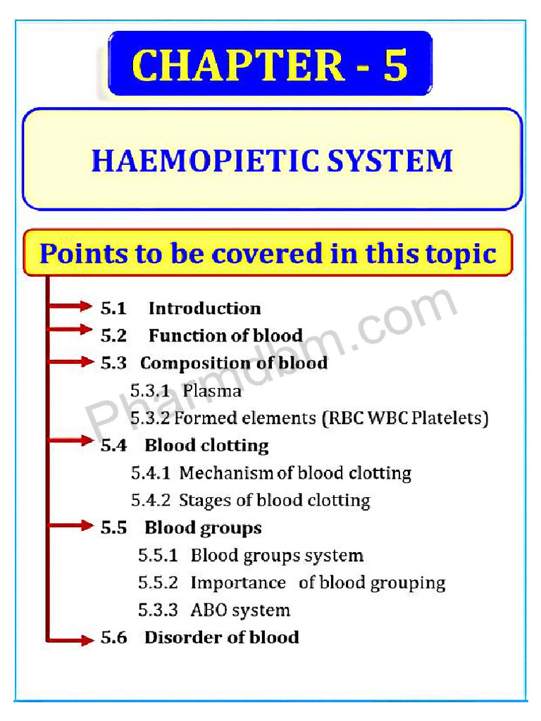 HUMAN-ANATOMY-AND-PHYSIOLOGY-CHAPTER-5 | PDF