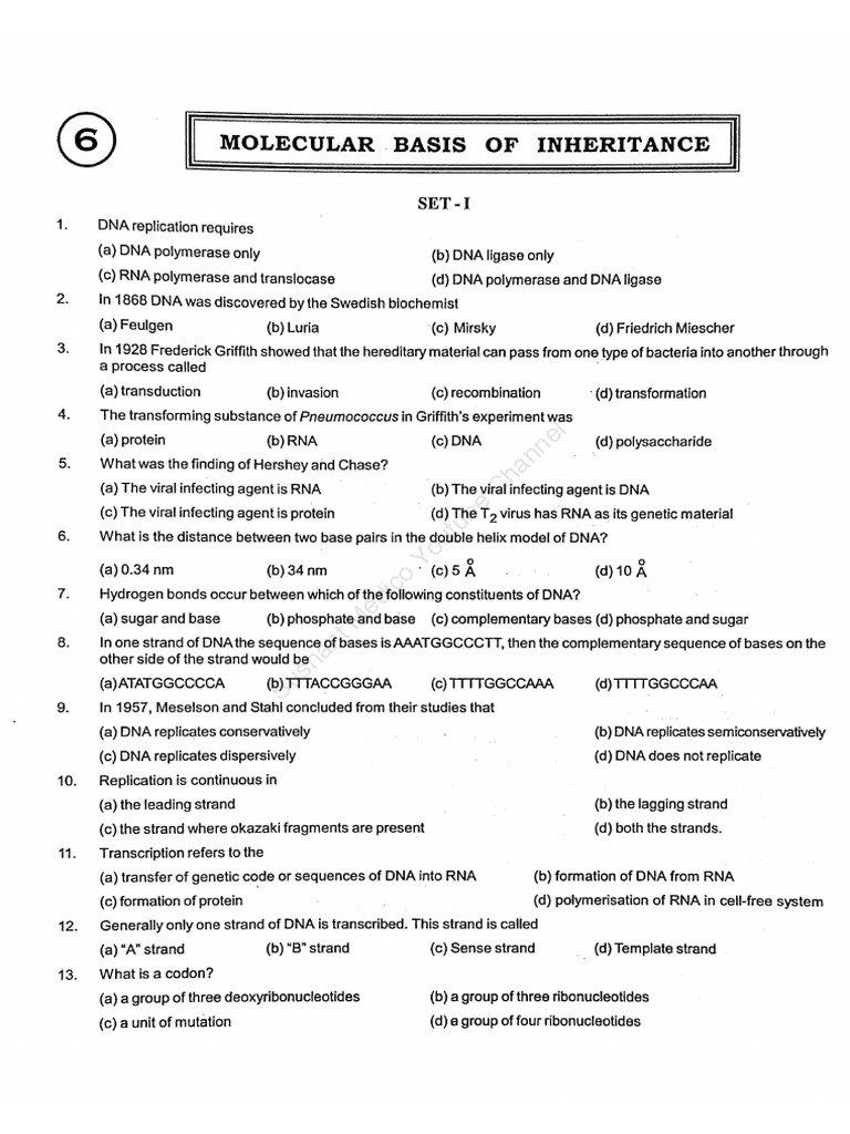 Molecular Basis of Inheritance | PDF