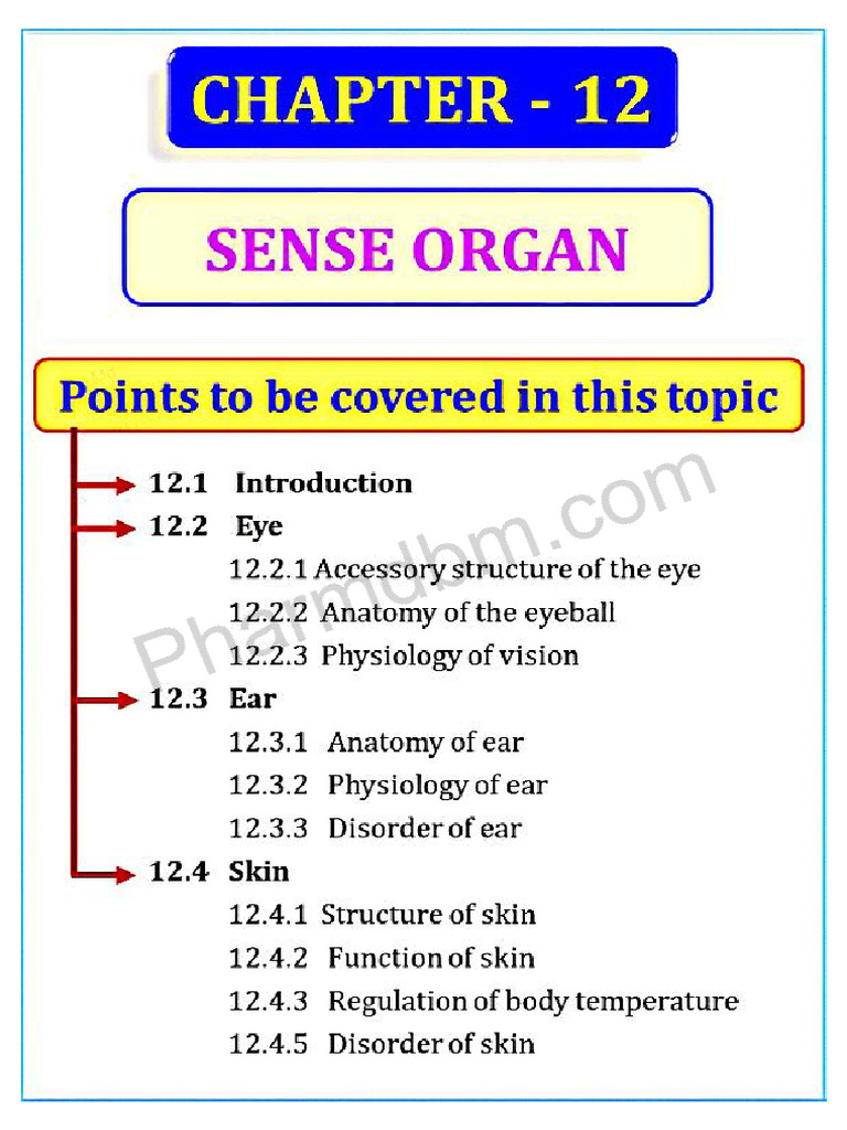 Human Anatomy and Physiology Chapter 12 | PDF