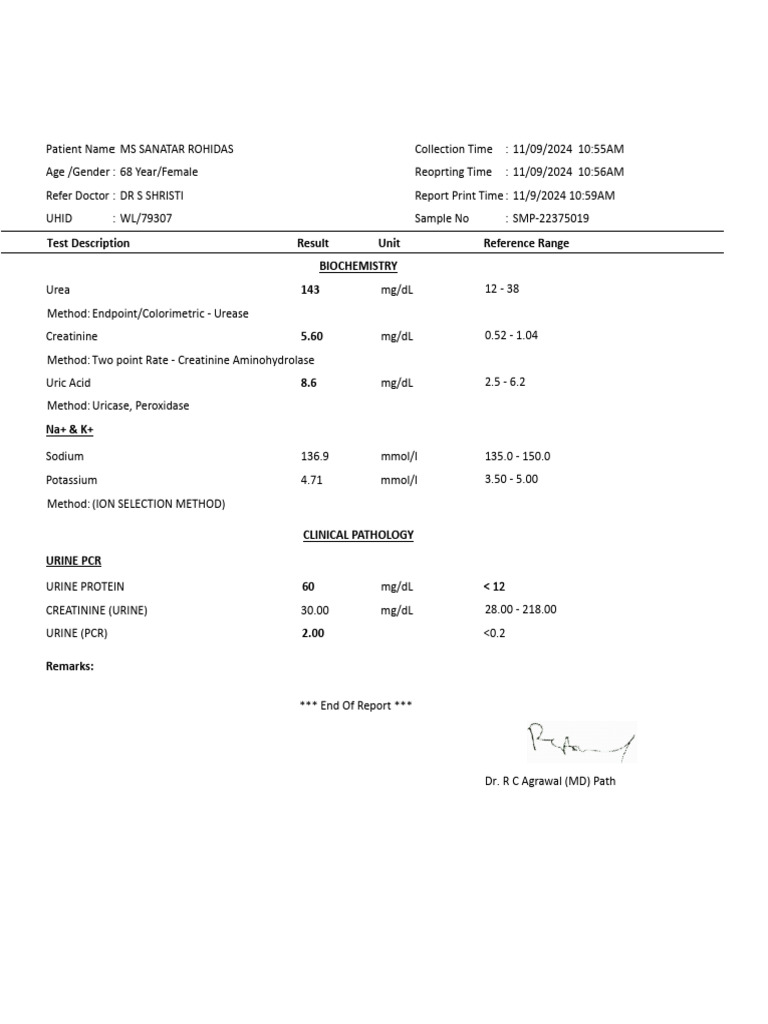 Sanatar Rohidas | PDF