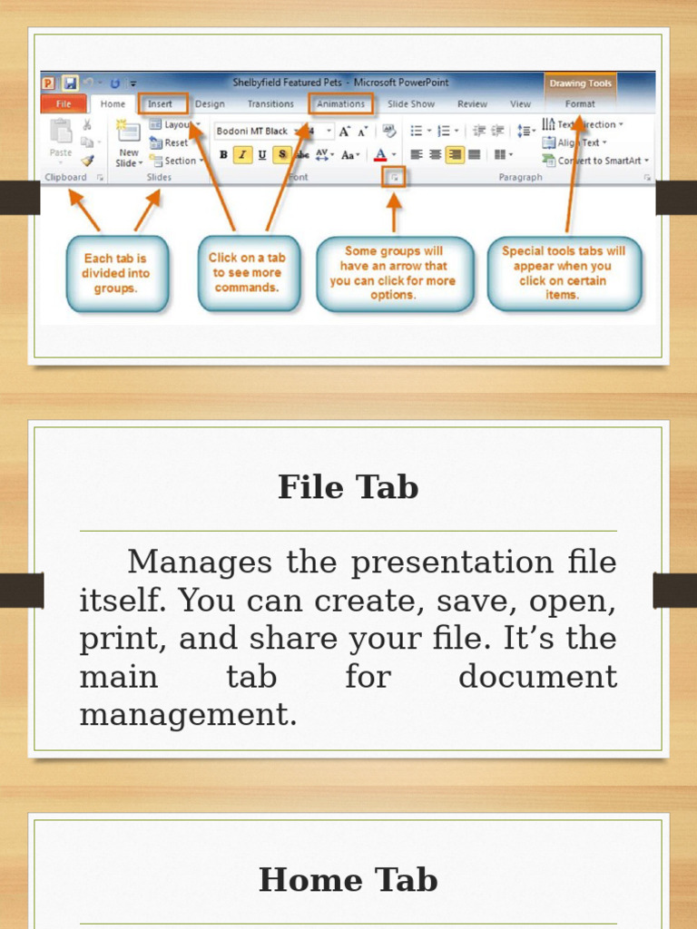 Essential Tabs for Presentation Management | PDF