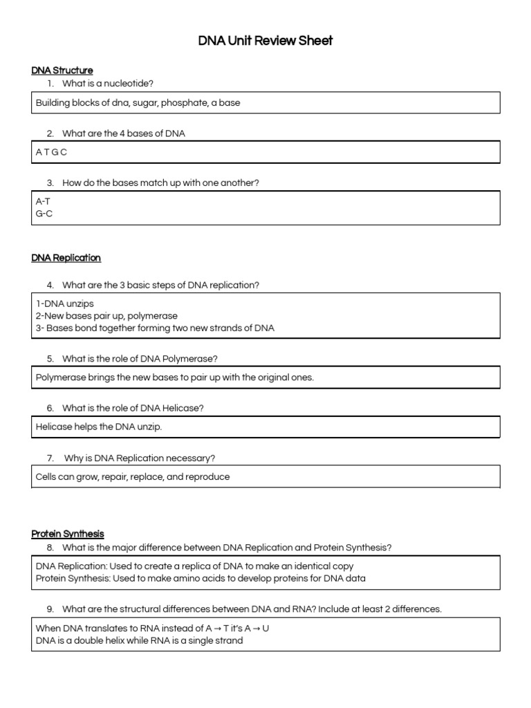 Chloe Berlau - DNA Unit Review Sheet | PDF | Dna | Dna Replication