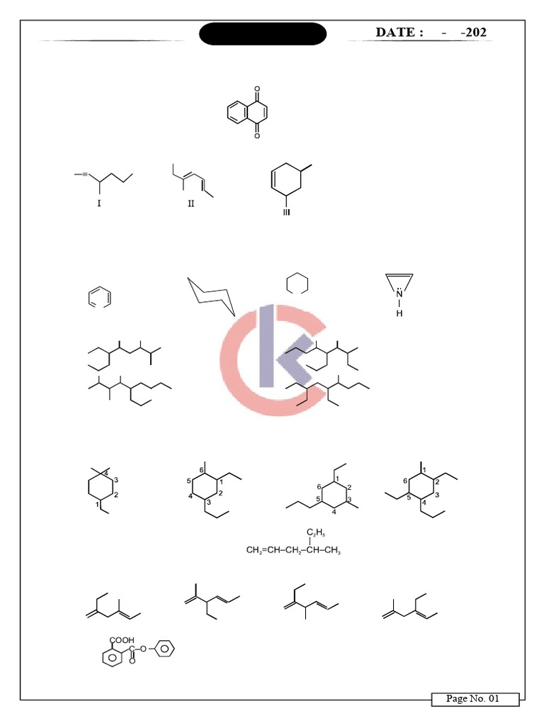 24-11-2024 Nomenclature of Organic Compounds & Isomerism Leader Batch ...