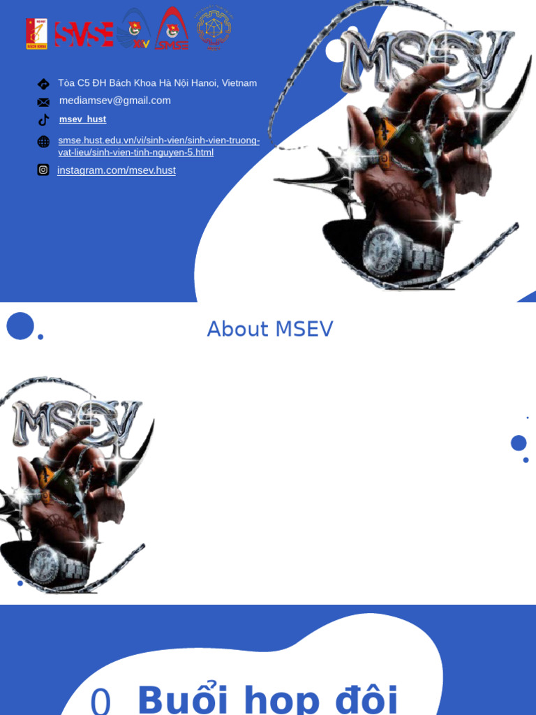 Msev | PDF