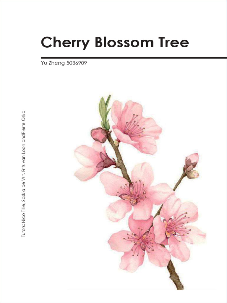 Species Cherry Blossom Tree | PDF | Flowers | Leaf