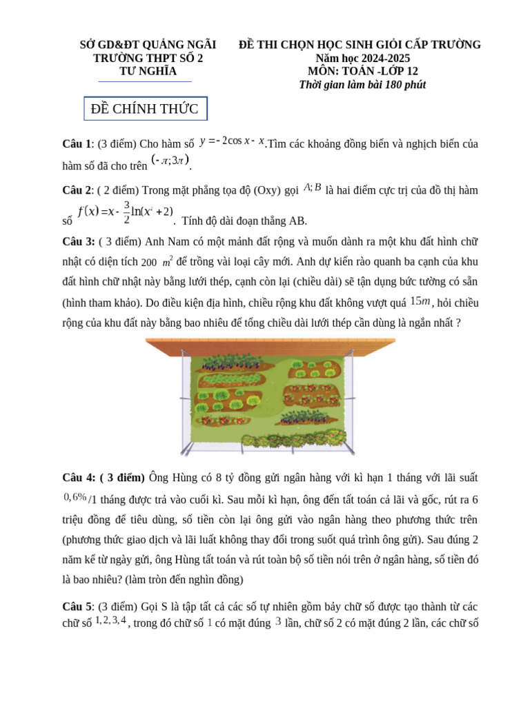 Đề -Toán 12- HSG cấp trường | PDF