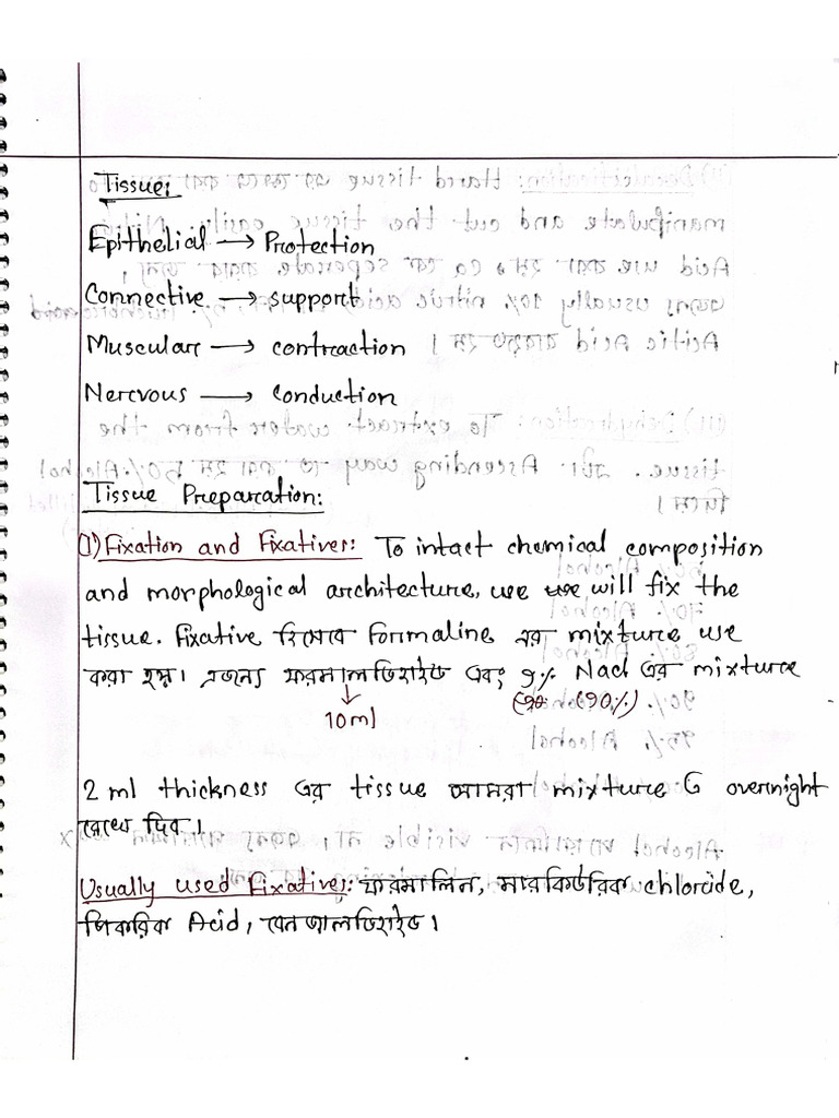 Epithelial Tissue (Lecture Note) | PDF