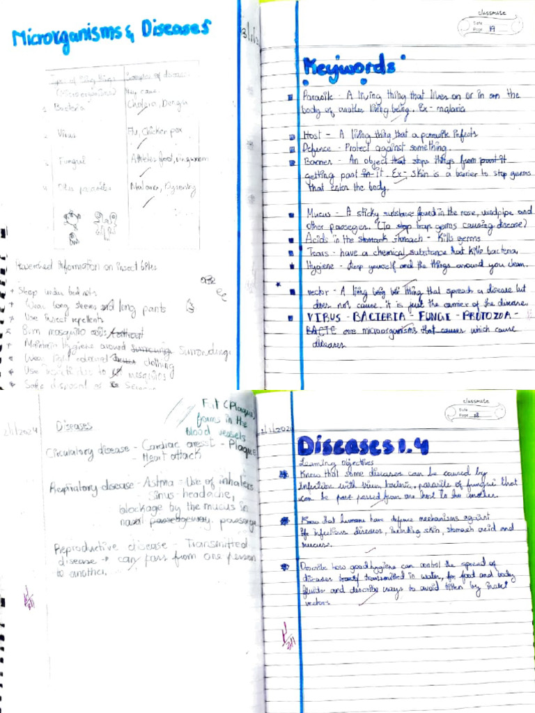 Bio Notes GR 5 | PDF