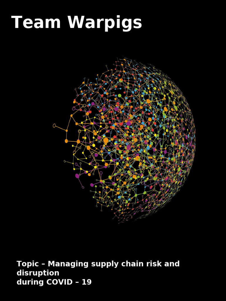 Team Warpigs - Supply Chain Challenge Research 2.0 | PDF | Supply Chain | Inventory
