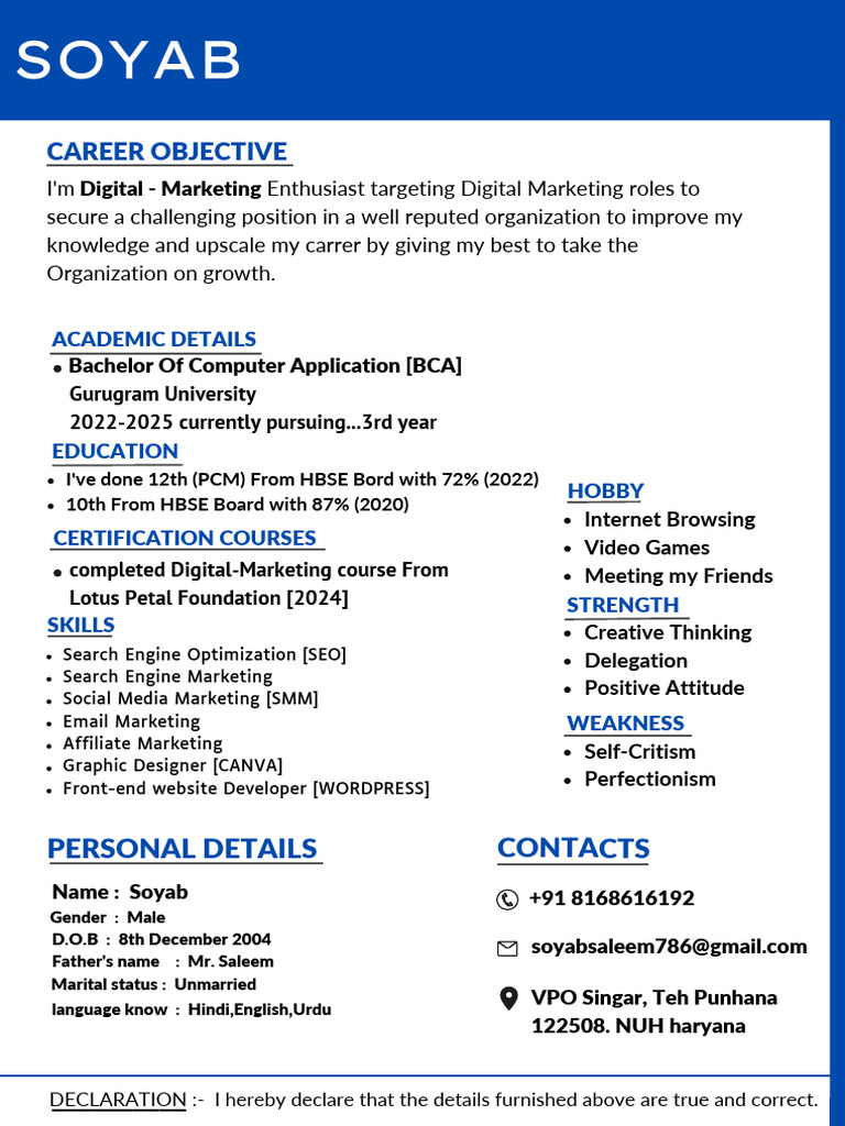 Soyab Profile Resume | PDF