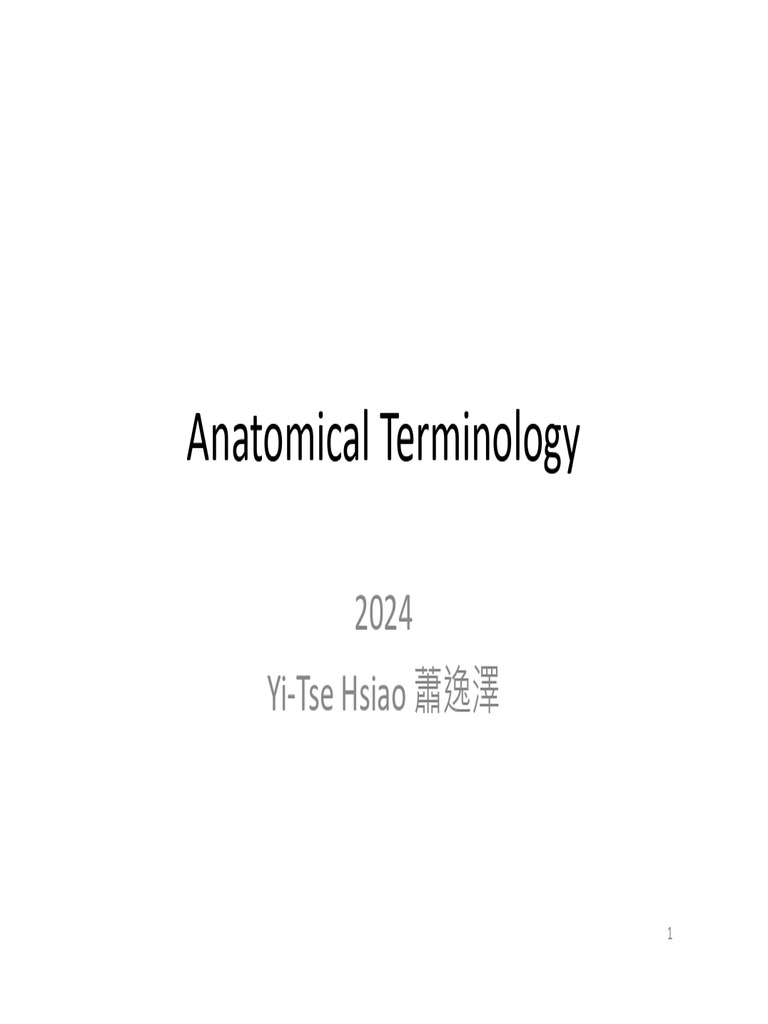 W1 Anatomical Terminology | PDF | Anatomical Terms Of Location | Vertebra