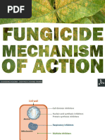Frac Code List 1: Fungicides Sorted by FRAC Code | PDF | Fungicide ...