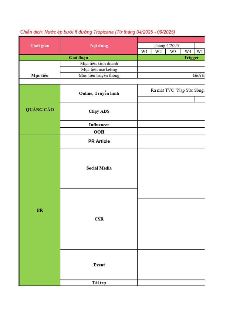 Campagin Framework truyền thông - N13 | PDF