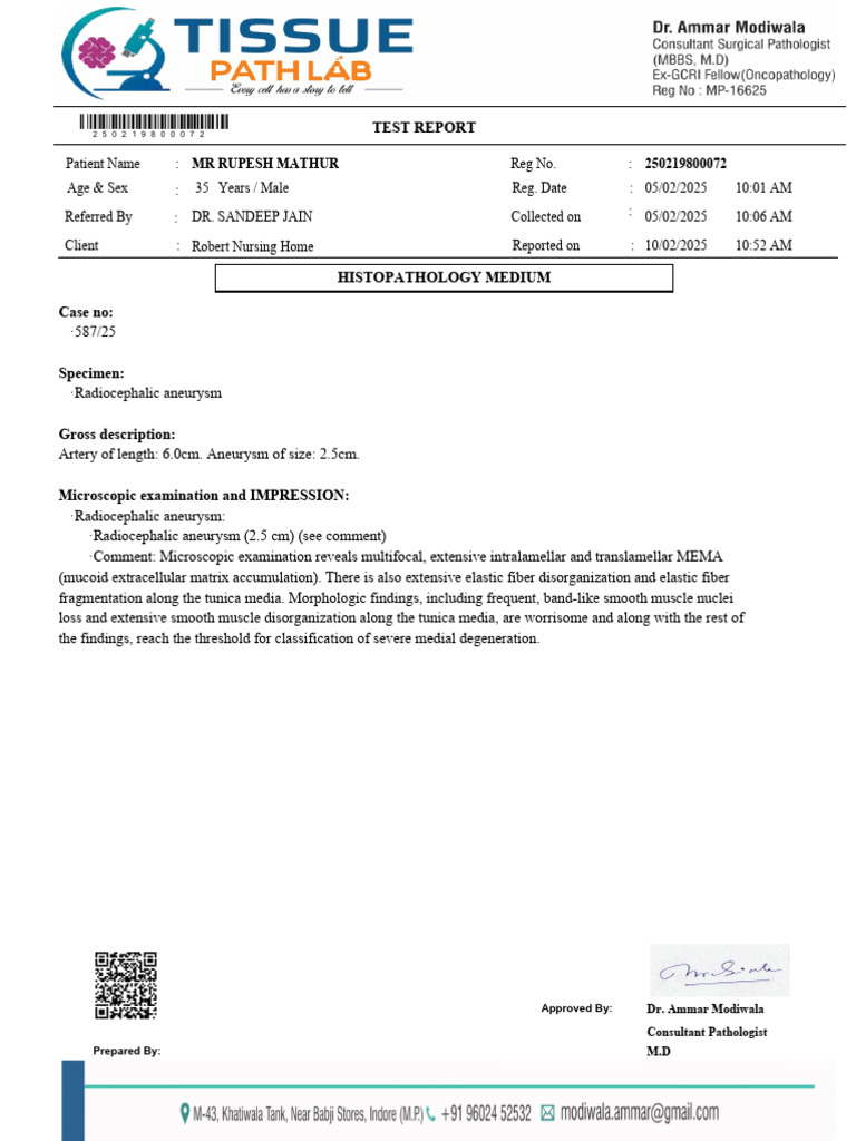 Rupesh 250219800072 05022025 Memo H | PDF