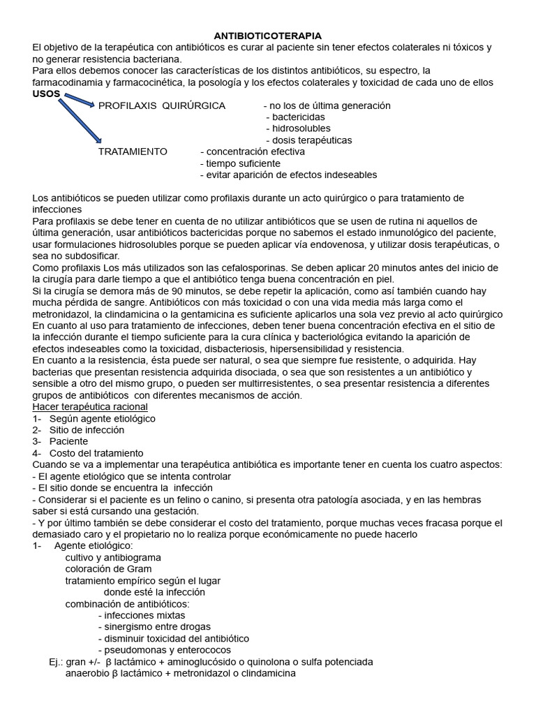 Resumen ATB Clase Pepino | PDF | Penicilina | Drogas