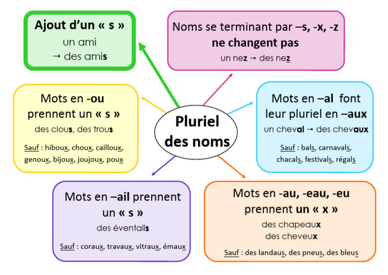 Le Pluriel Des Noms | PDF