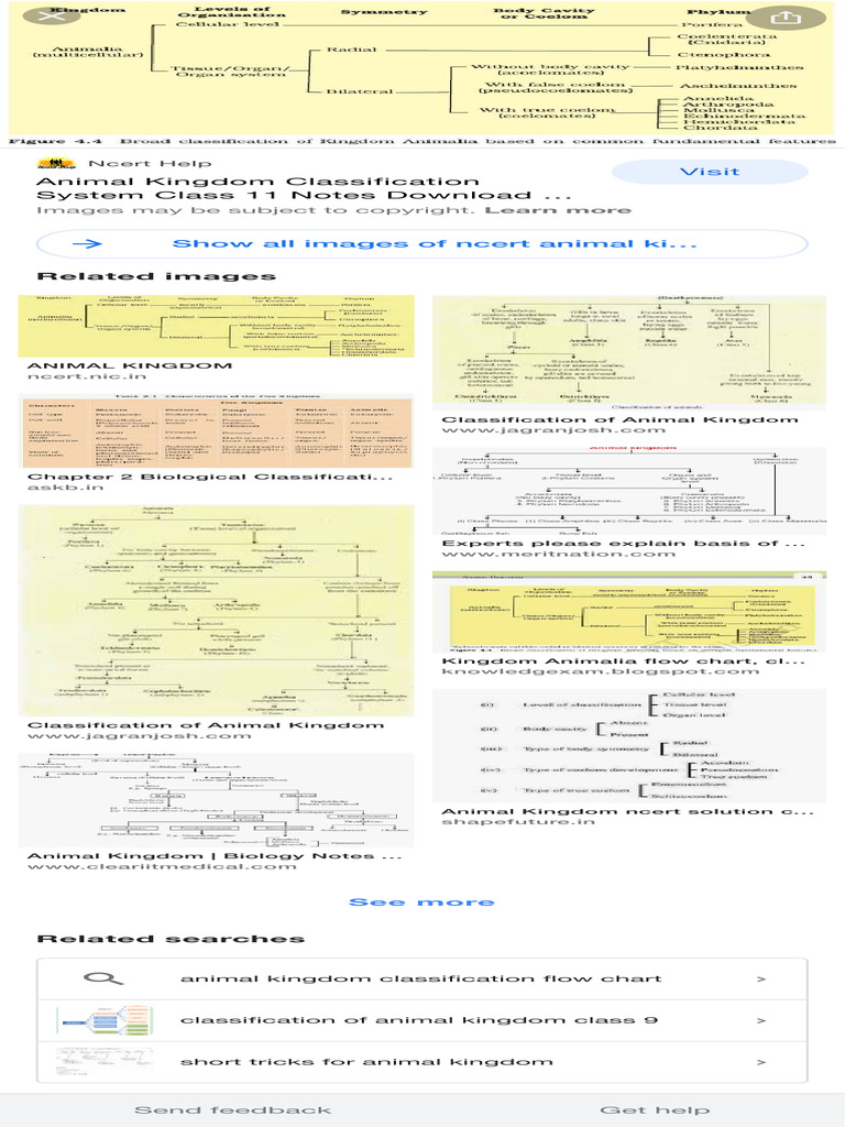 Ncert Animal Kingdom Table - Google Search | PDF