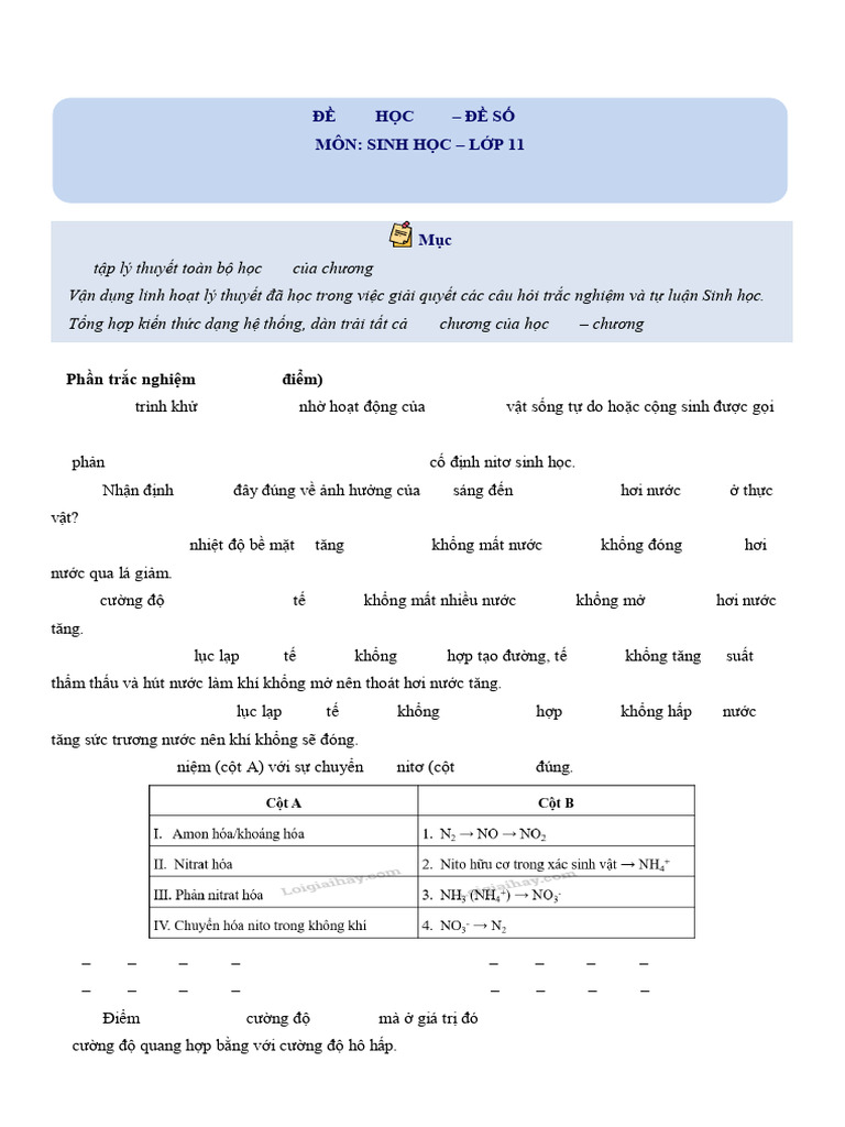 ĐỀ LỚP 11 HK1 3 | PDF