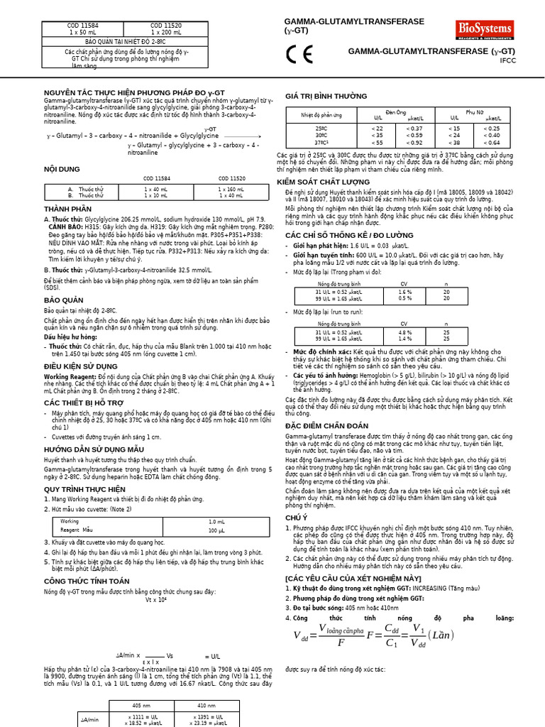 (BẢN DỊCH) KIT-GGT | PDF