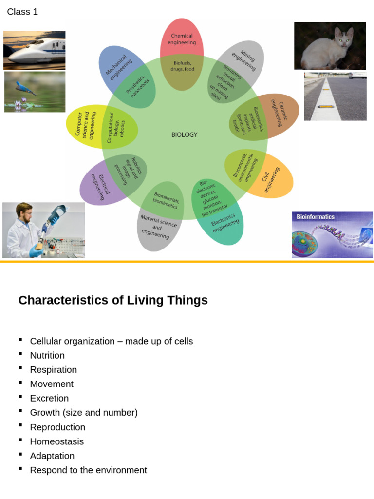 Biology Lecture 4 and 5 | PDF | Cell (Biology) | Prokaryote