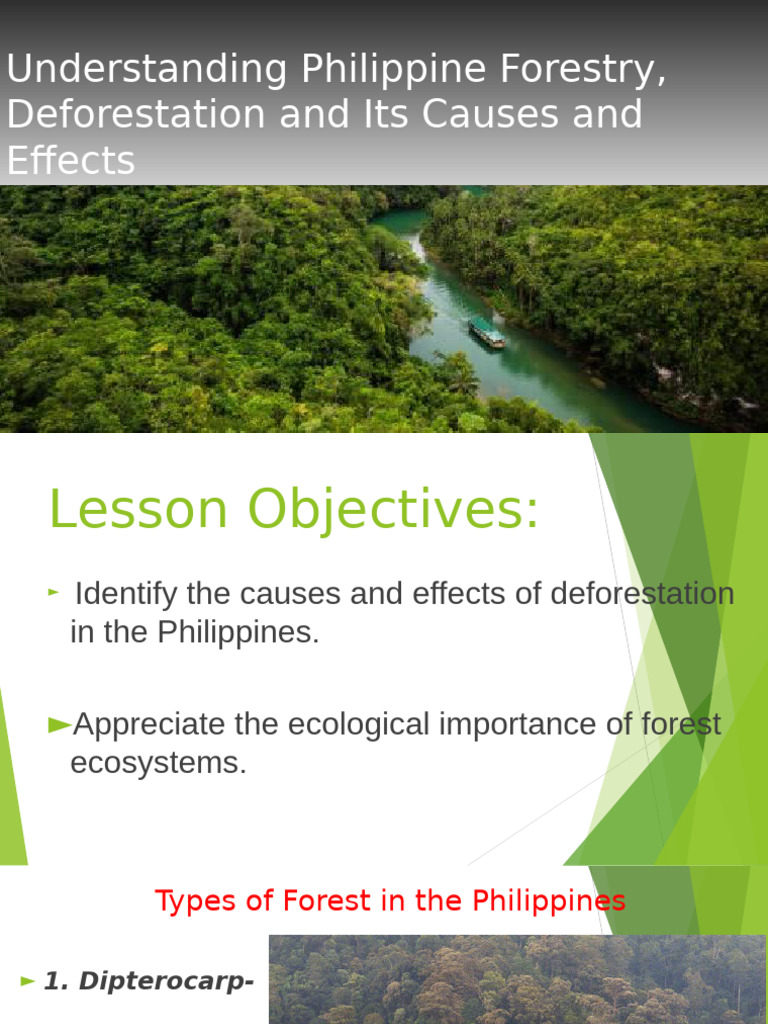SCX 010 Lesson 14 Understanding Philippine Forestry | PDF