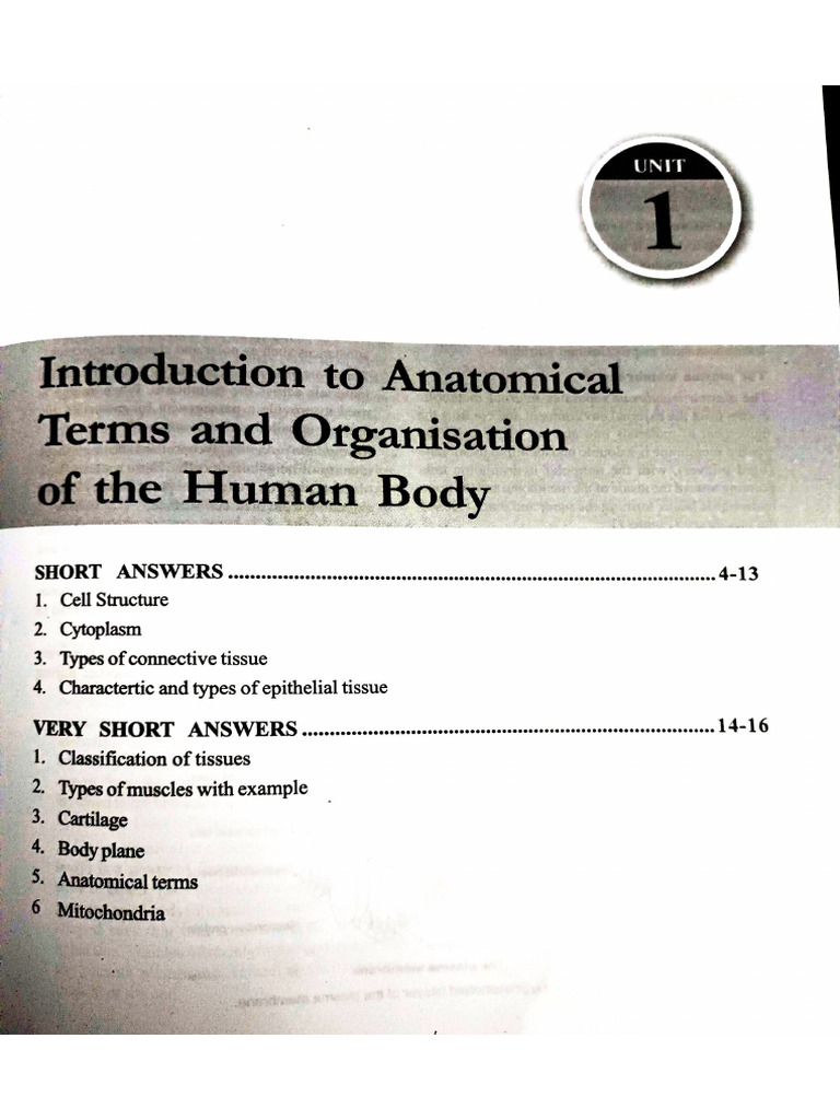 Simplified Notes On Applied Anatomy | PDF