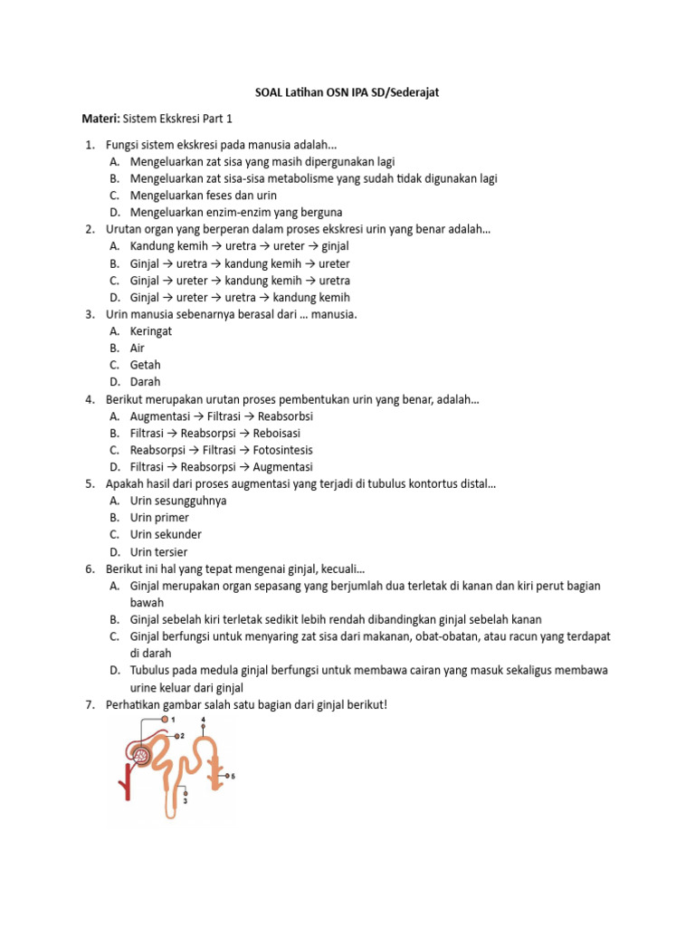 SOAL Latihan OSN IPA SD-Sistem Ekskresi Part 1 | PDF