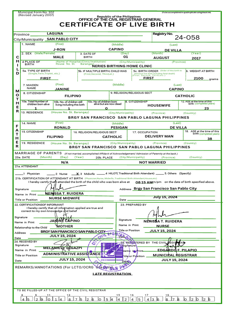 LIVE BIRTH GREEN_20250226_164318_0000 | PDF | Health Care | Social ...