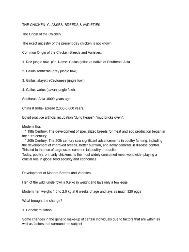 Beginner's Guide to Layer Chickens | PDF | Chicken | Egg