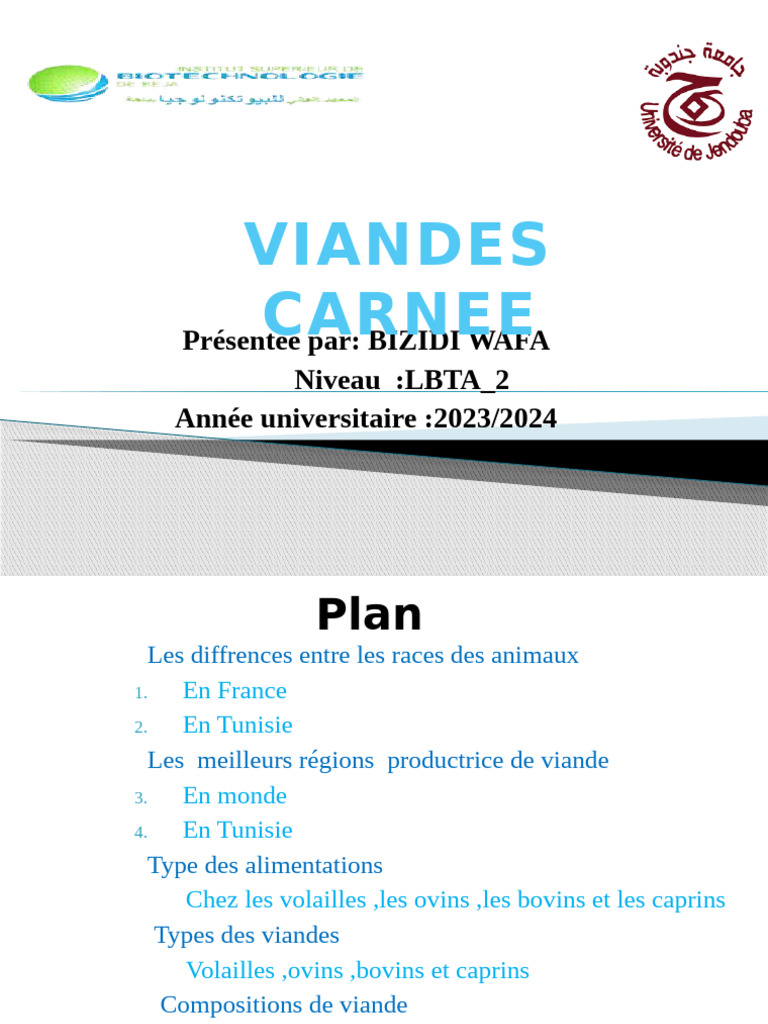Types et Origines des Viandes | PDF | Viande | Bovins domestiques