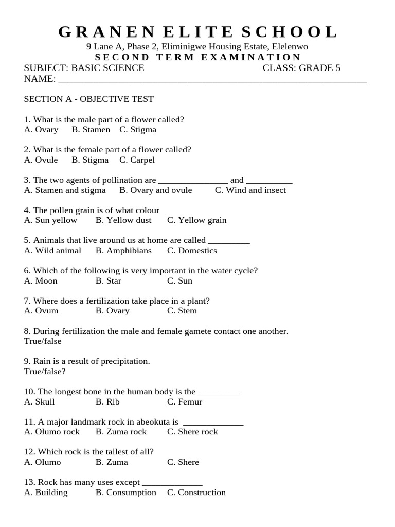 Grade 5 Second Term Exams | PDF | Computer Keyboard | Rock (Geology)