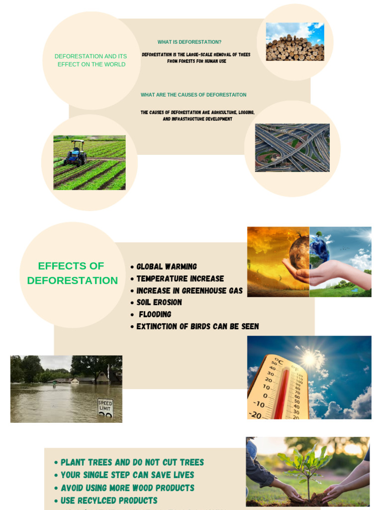 English Internals | PDF