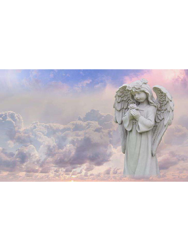 Sky Angel Statue Wing Preview | PDF