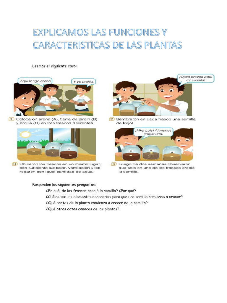 Explicamos Las Funciones y Caracteristicas de Las Plantas | PDF