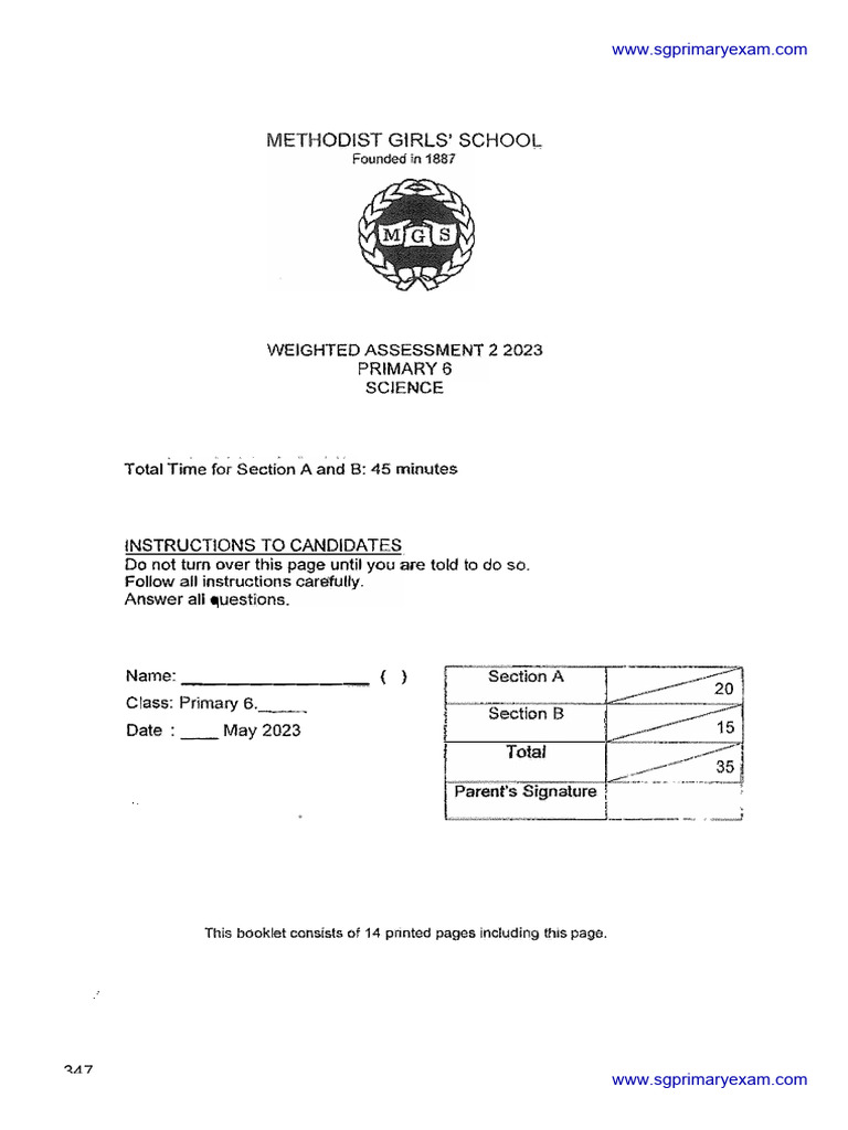 Primary 6 Science Assessment 2023 | PDF | Photosynthesis | Systems Ecology