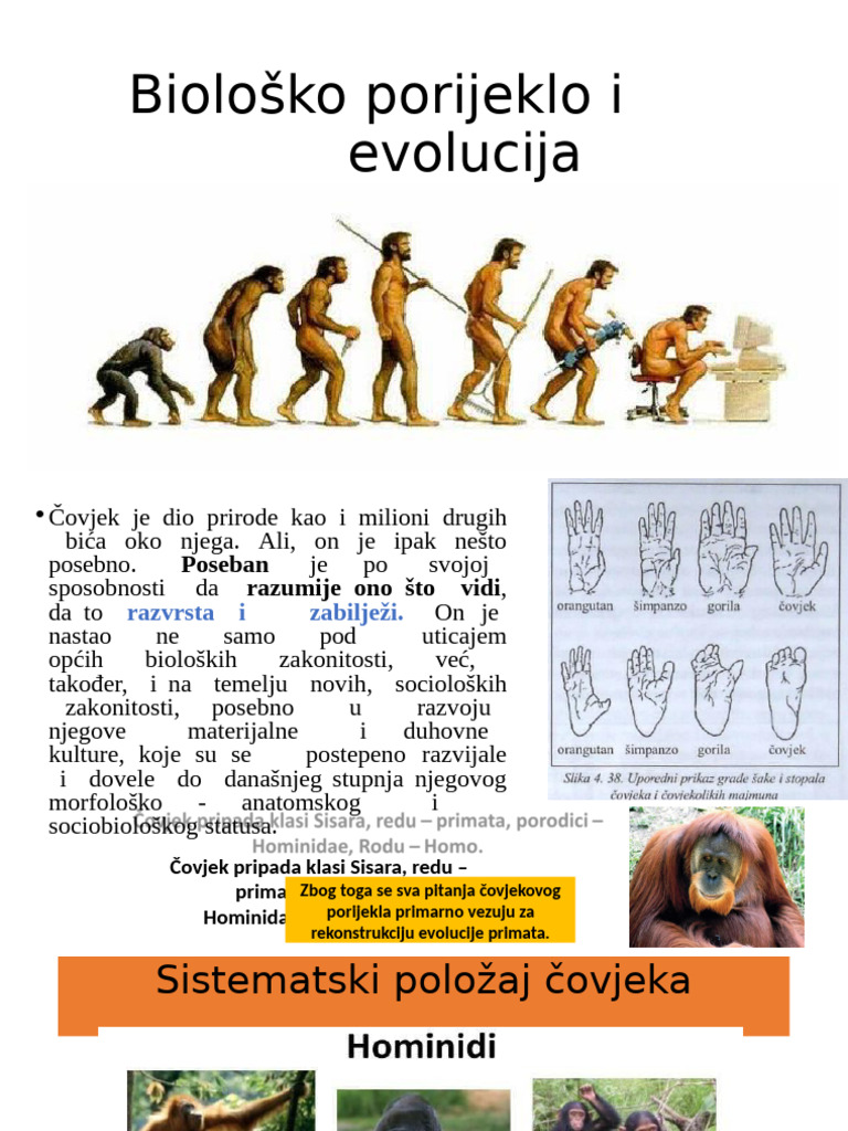 EVOLUCIJA ČOVJEKA | PDF