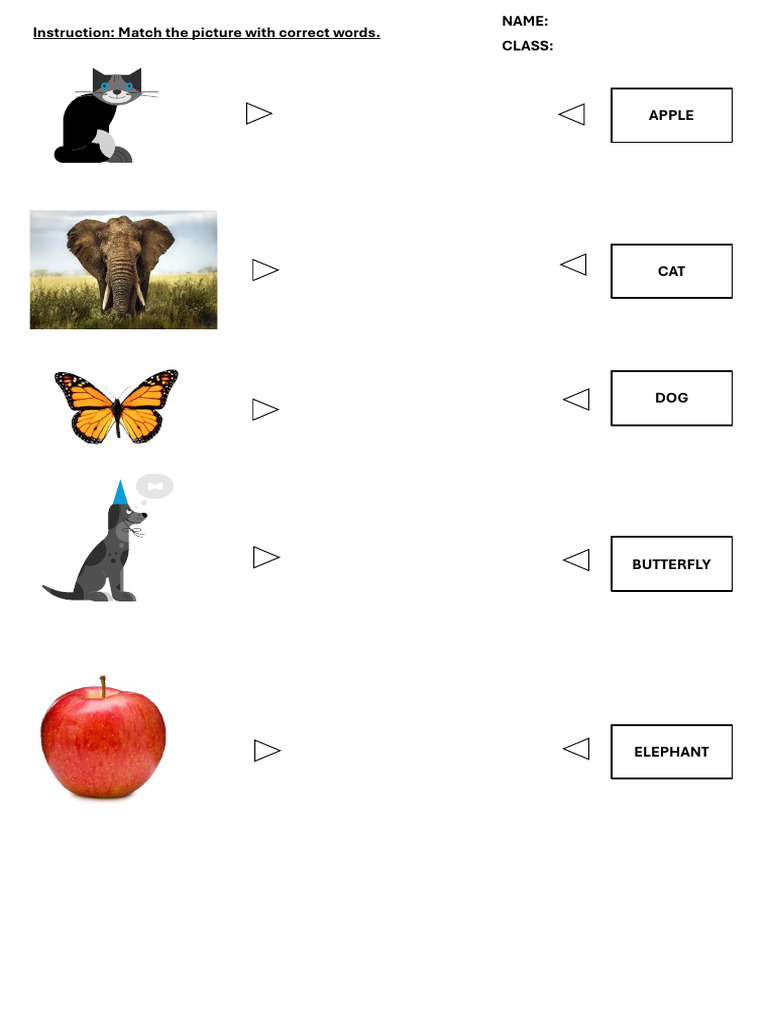 Match Pictures with Words Activity | PDF