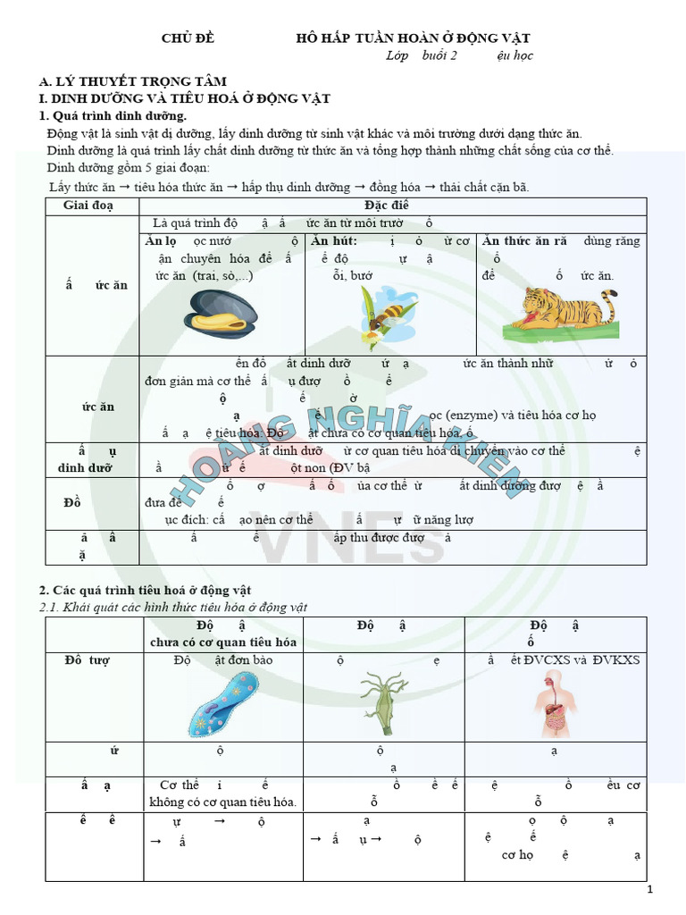 Buoi 21 Ngay 162 Lop 2 Tieu Hoa Ho Hap 1 | PDF