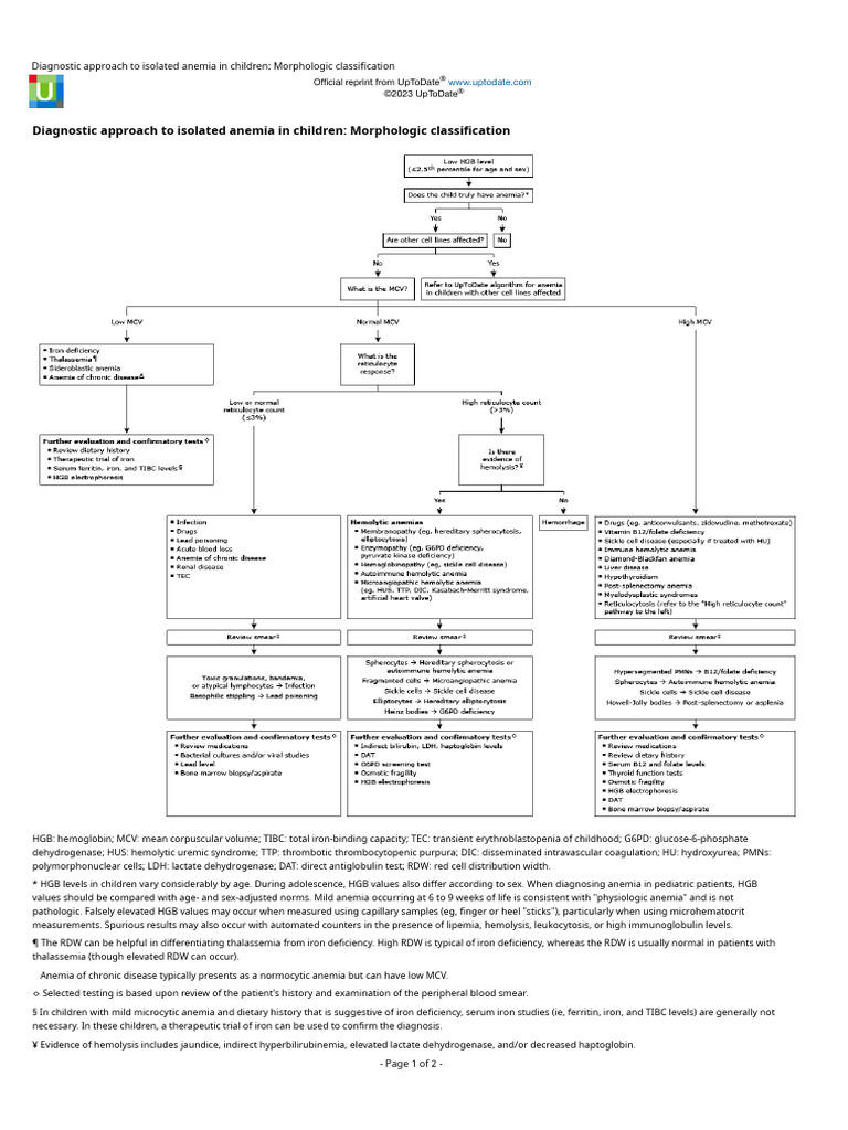 Diagnostic Approach To Isolated Anemia in Children: Morphologic ...