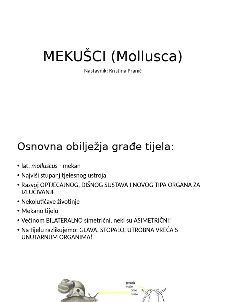MEKUŠCI (Mollusca) | PDF