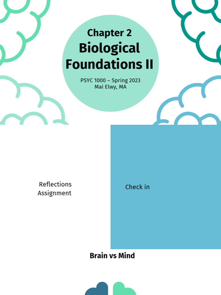 Understanding Brain Structures and Functions | PDF | Brain | Memory